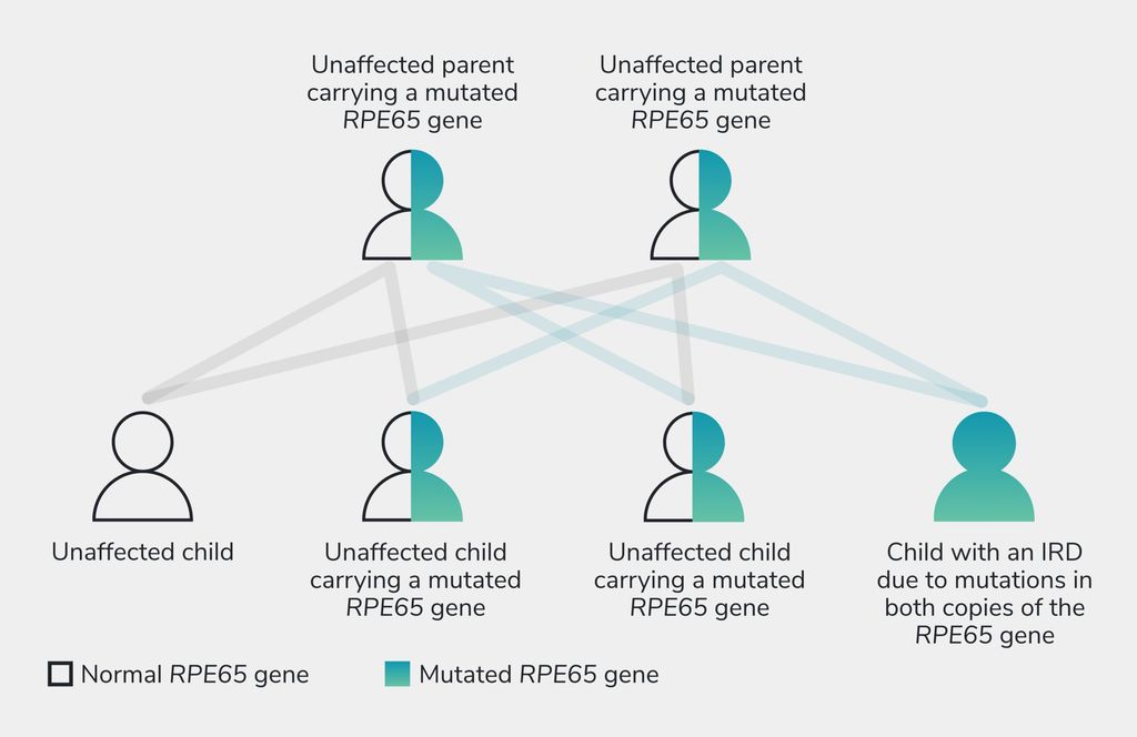 What is LUXTURNA? - LUXTURNA® (voretigene neparvovec-rzyl)